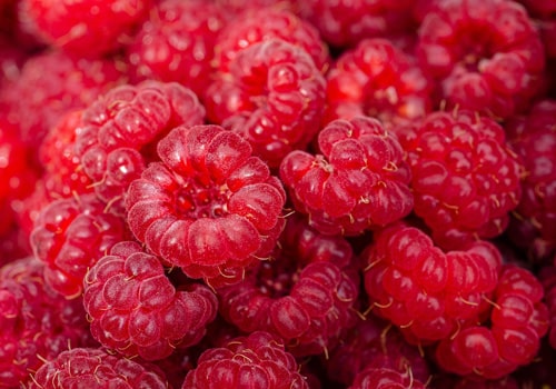 Vegetables Ecommerce