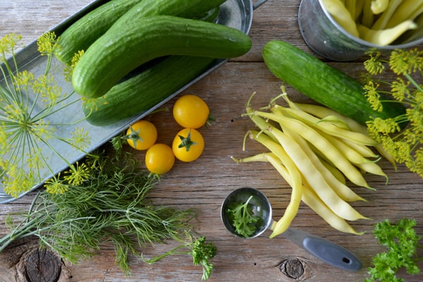 Vegetables Ecommerce