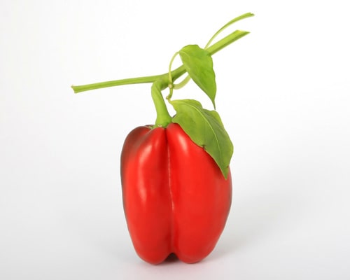 Vegetables Ecommerce